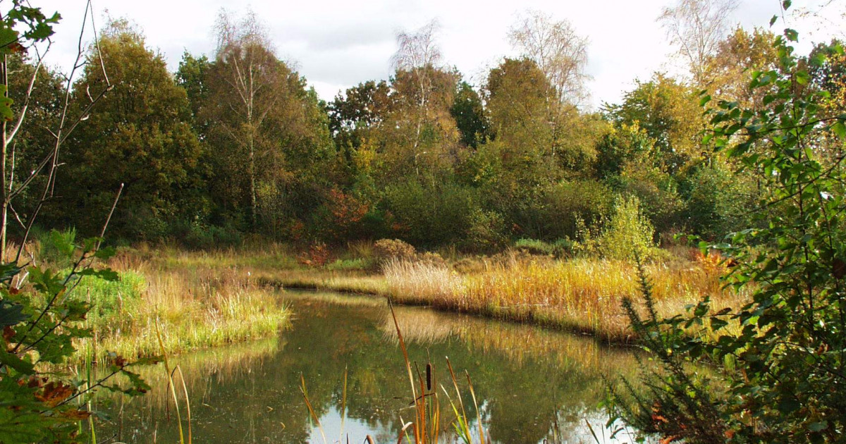 Rucphen | Monumenten.nl