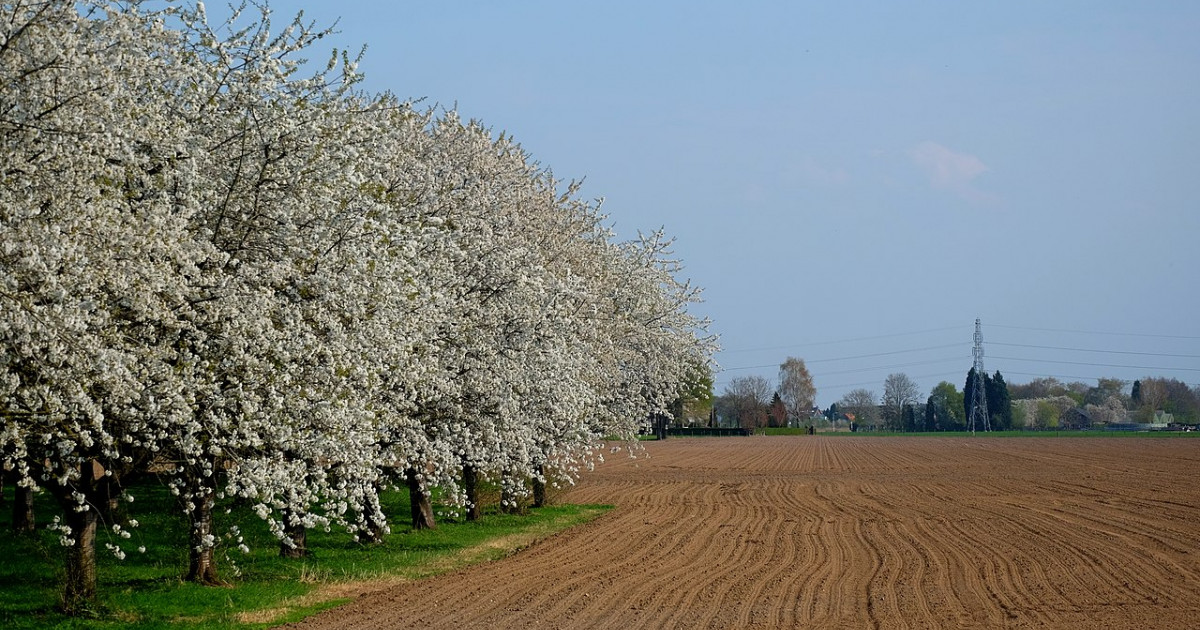 Lingewaard | Monumenten.nl
