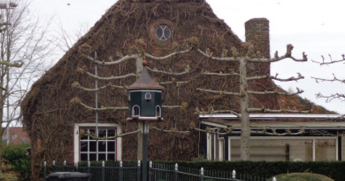515482, Tienhoven aan de Lek | Monumenten.nl