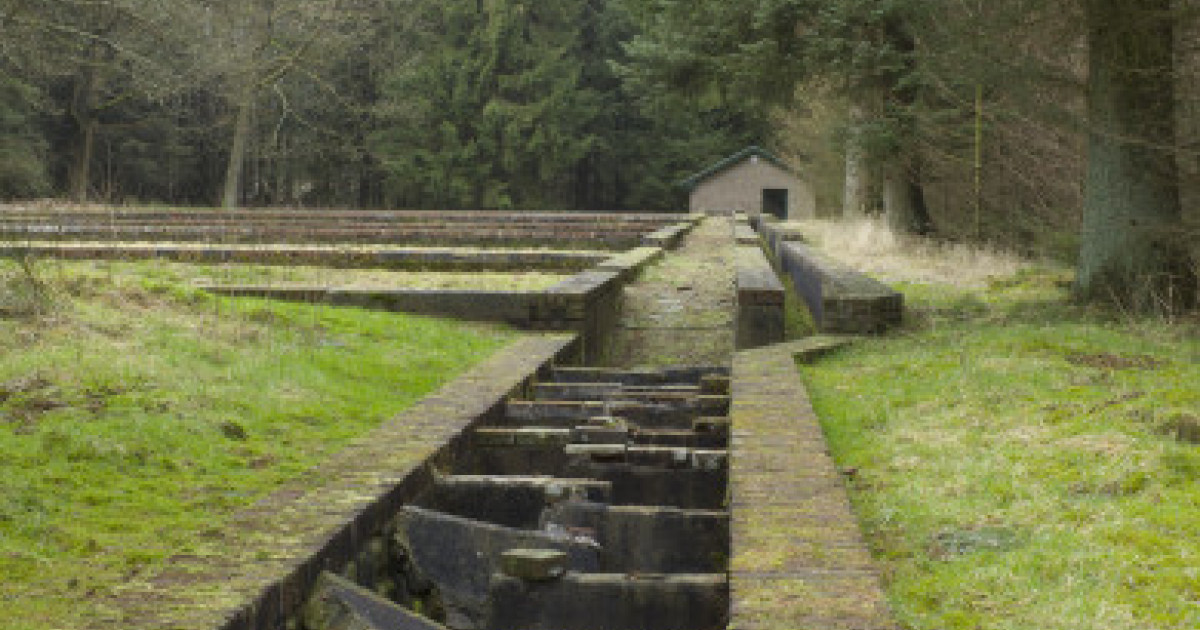 Schattenberg 2, Zwiggelte | Monumenten.nl